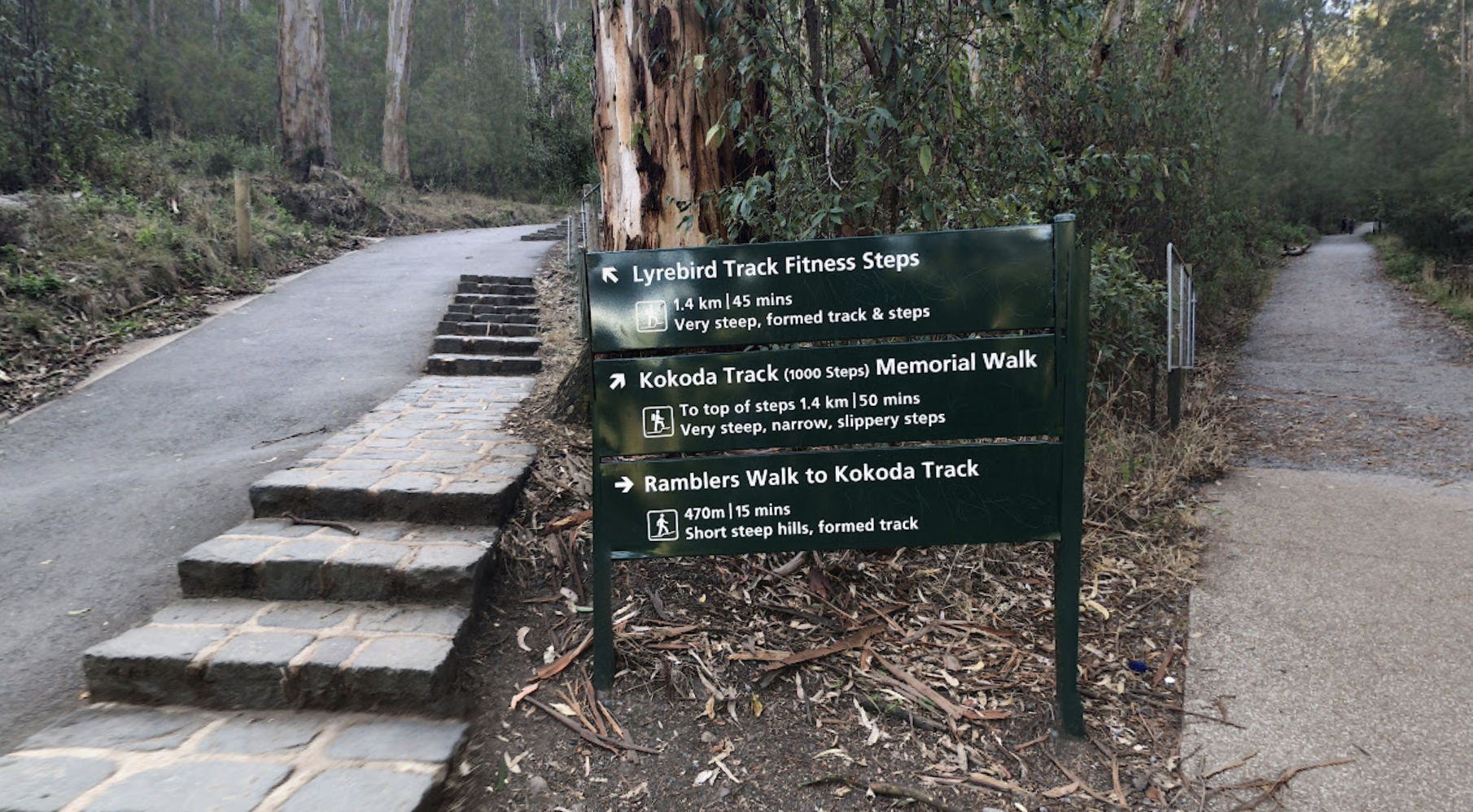 A Guide To 1000 Steps Dandenong Kokoda Track Walk - Around Melbourne
